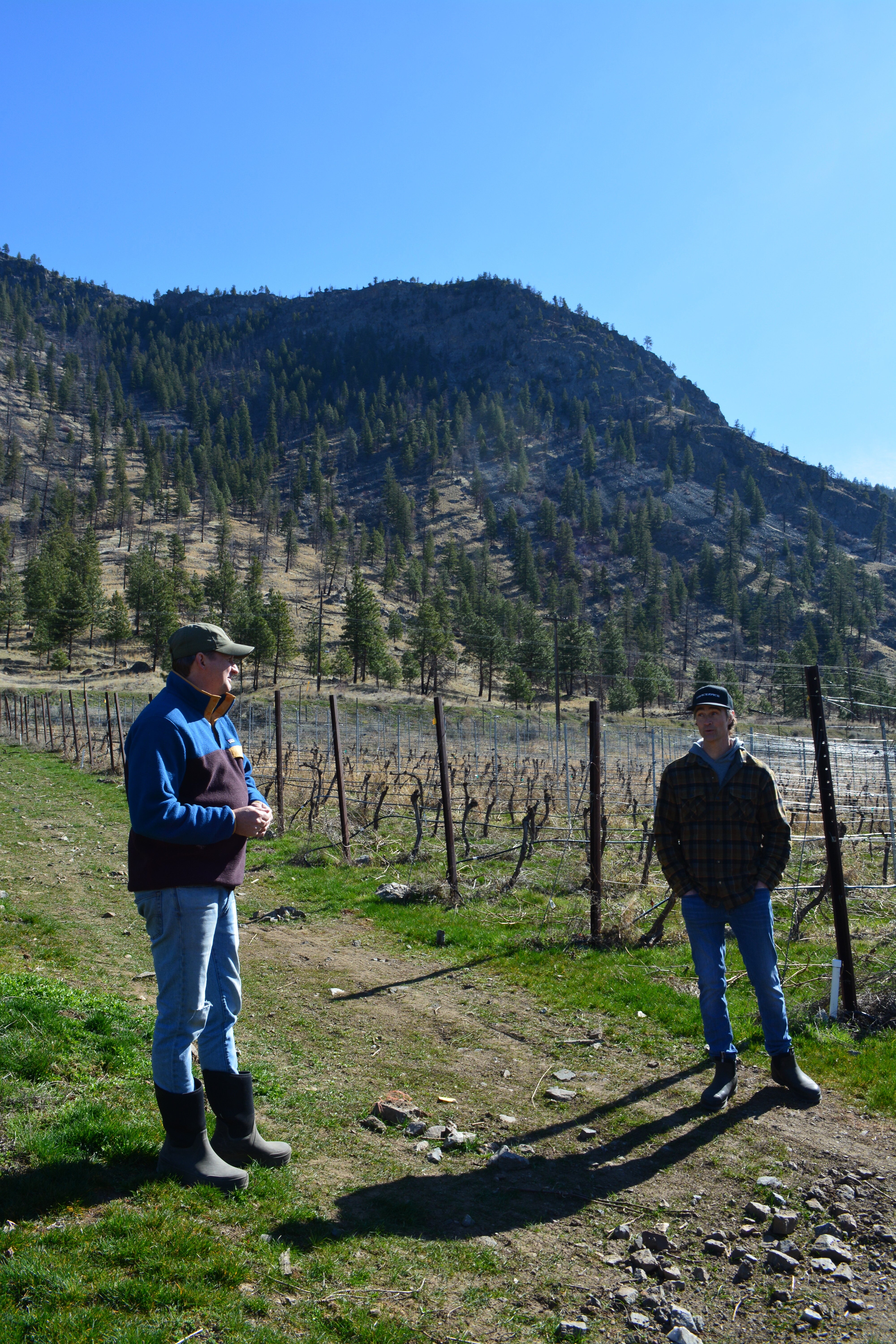 Scout – Grape Witches