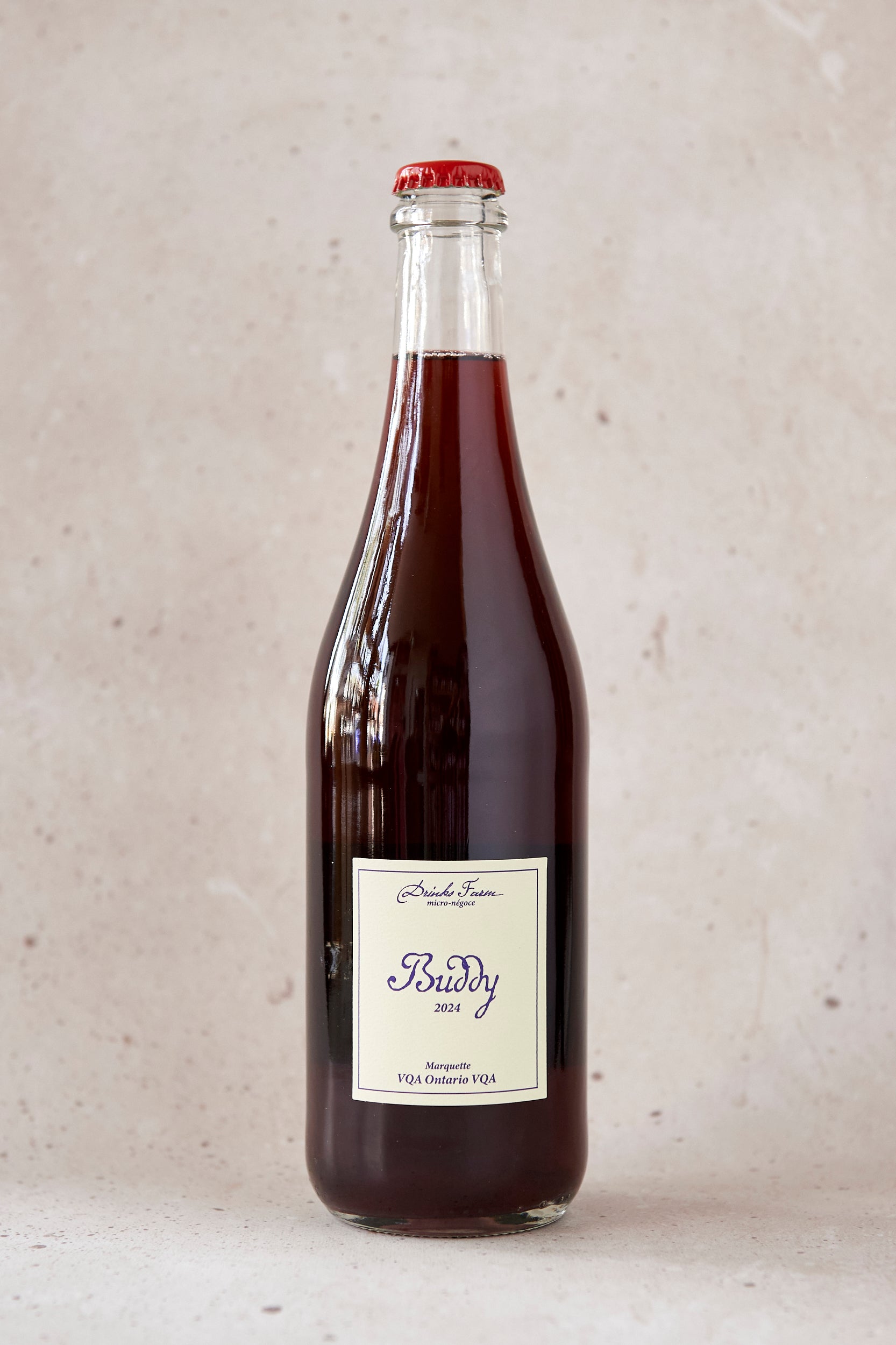 ‘Buddy’ – Grape Witches