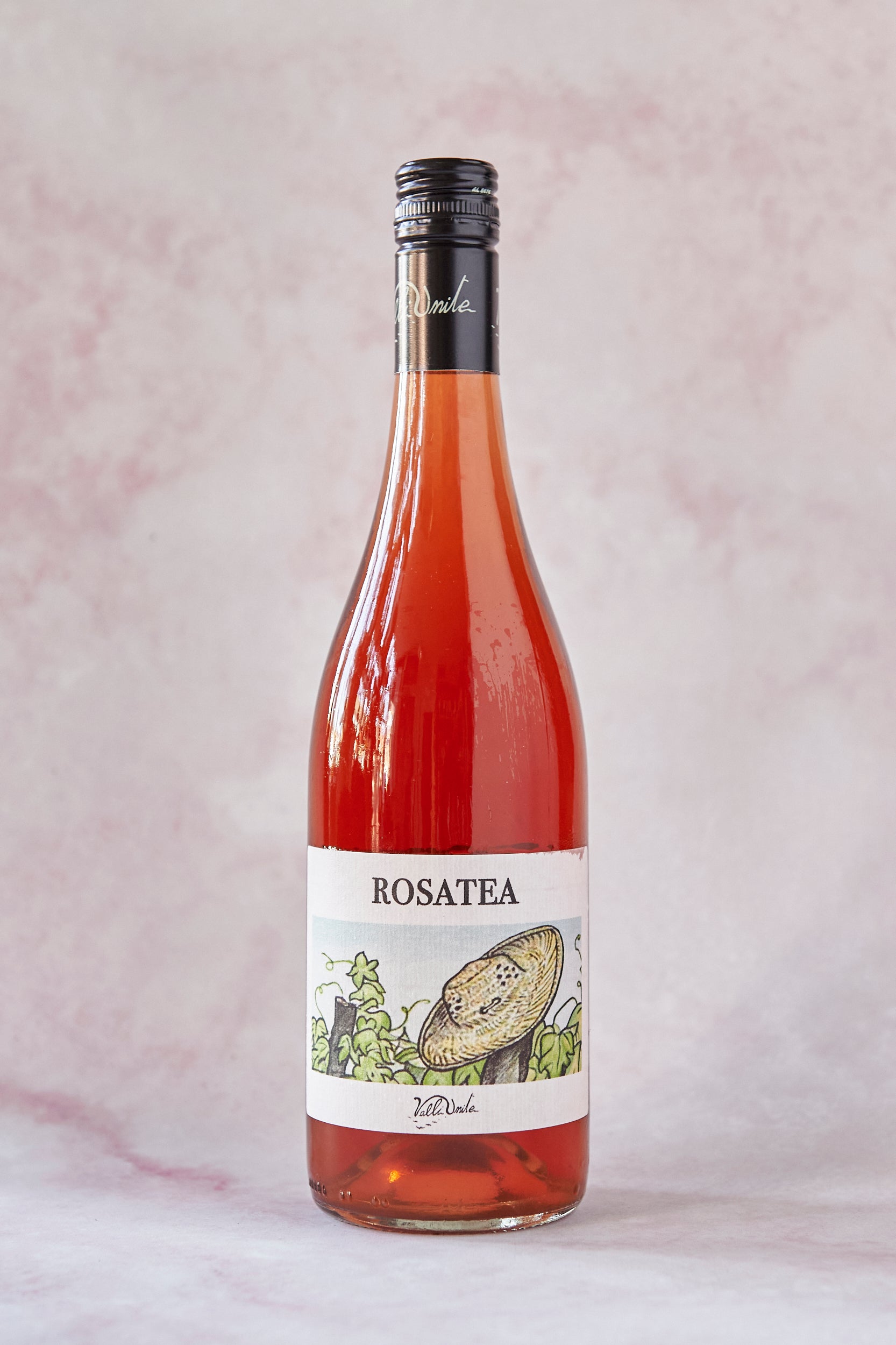‘Rosatea’ – Grape Witches
