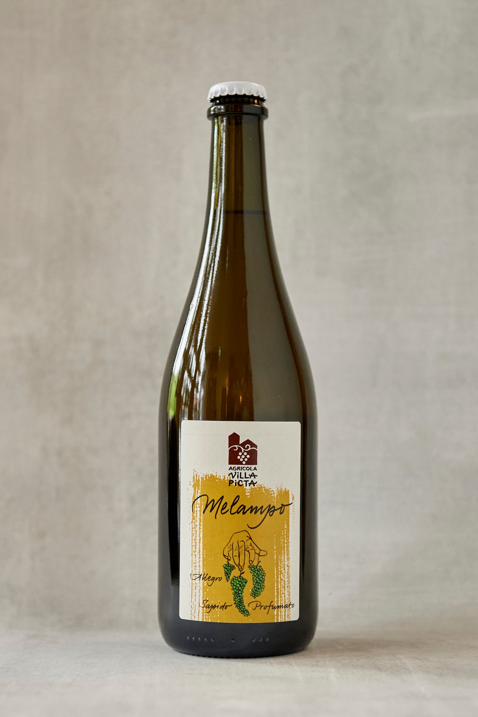 ‘Melampo’ – Grape Witches