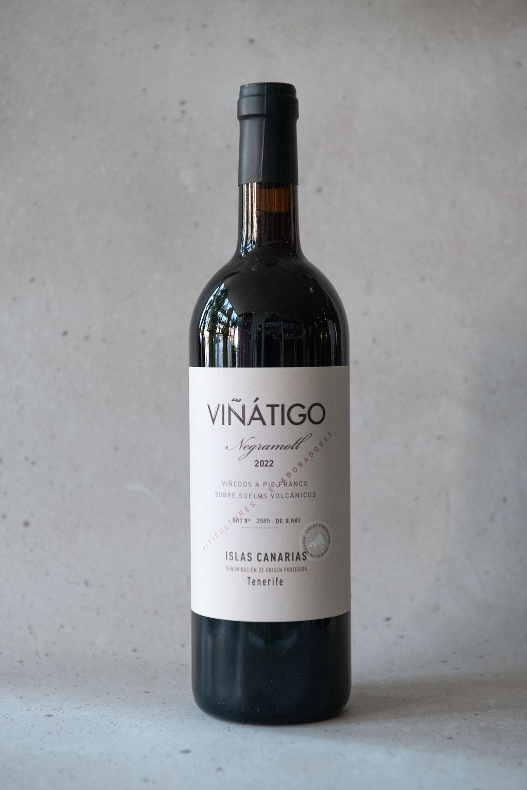 Negramoll' – Grape Witches