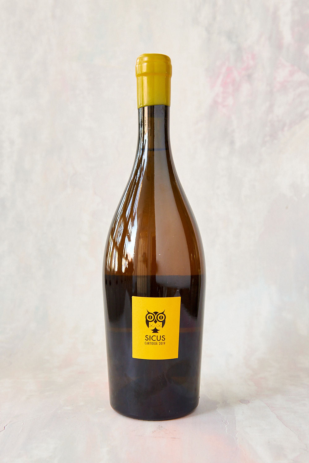 'Cartoxia Brisat' – Grape Witches