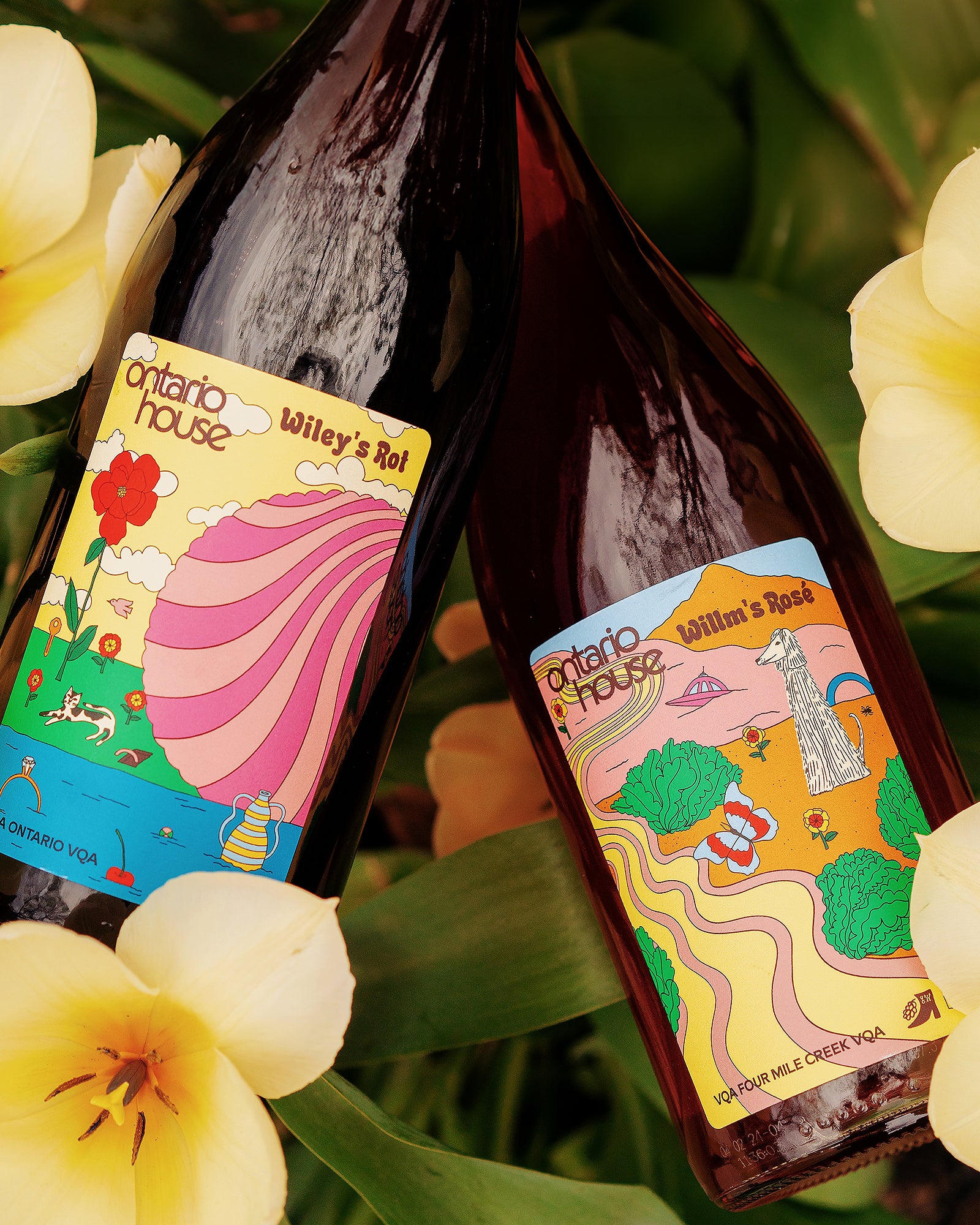 Ontario House – Grape Witches