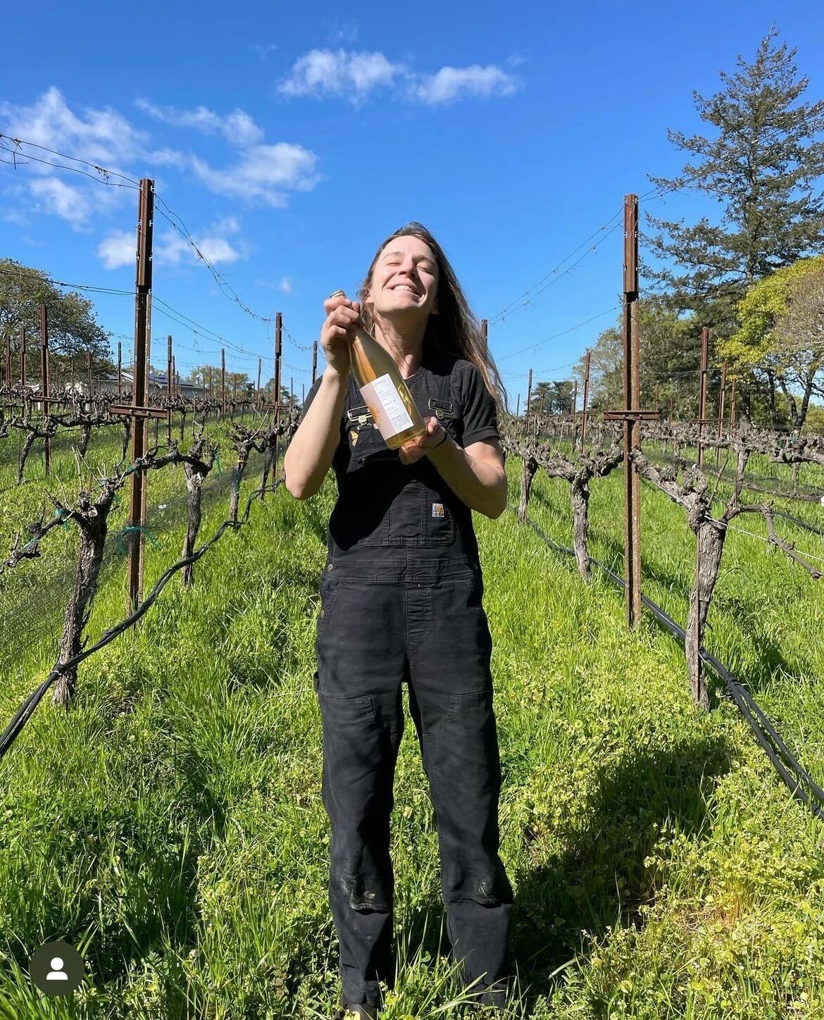 Emme Wines – Grape Witches