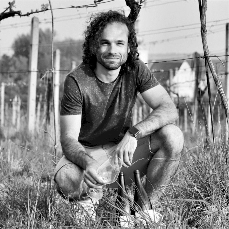 Martin Vajcner – Grape Witches