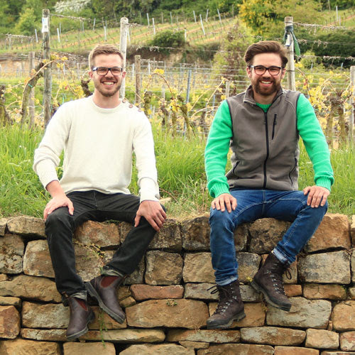 Scheuermann – Grape Witches