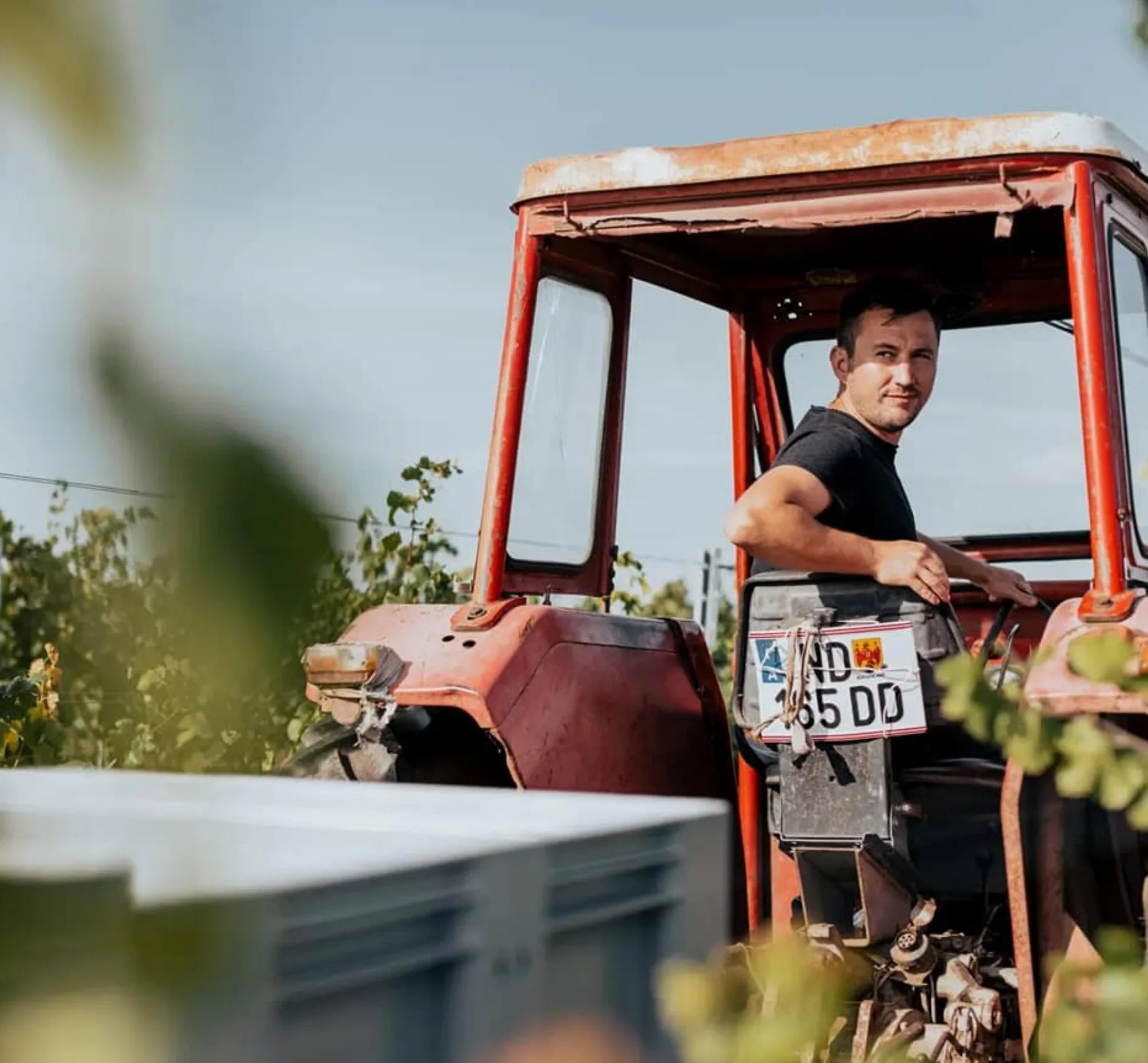 Weingut Ziniel – Grape Witches