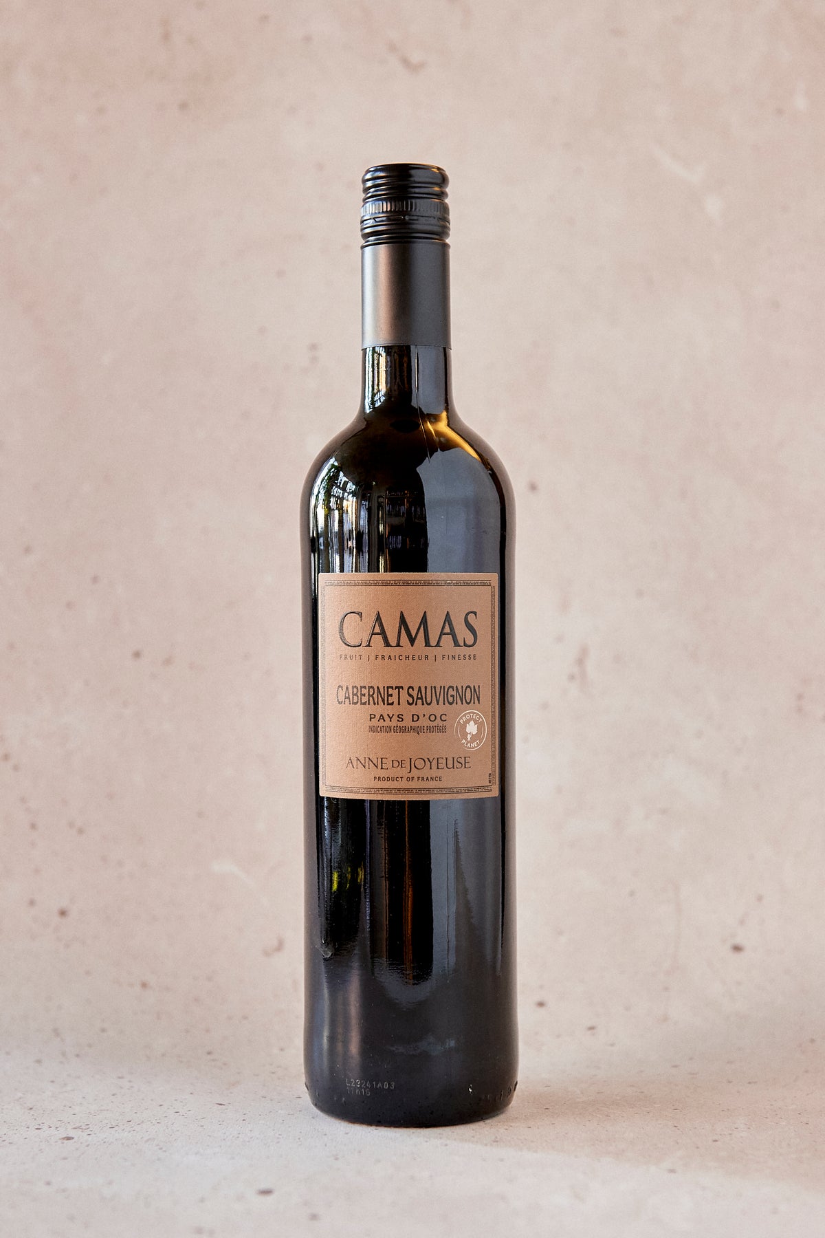 Anne de Joyeuese 'Camas Cabernet Sauvignon' – Grape Witches