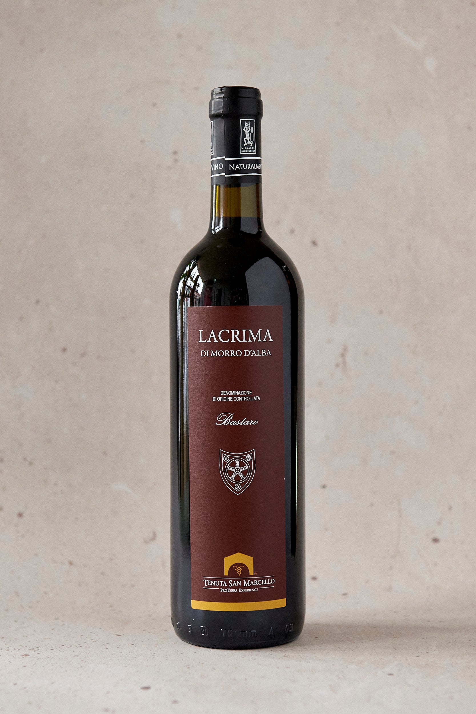 ‘Bastaro’ – Grape Witches