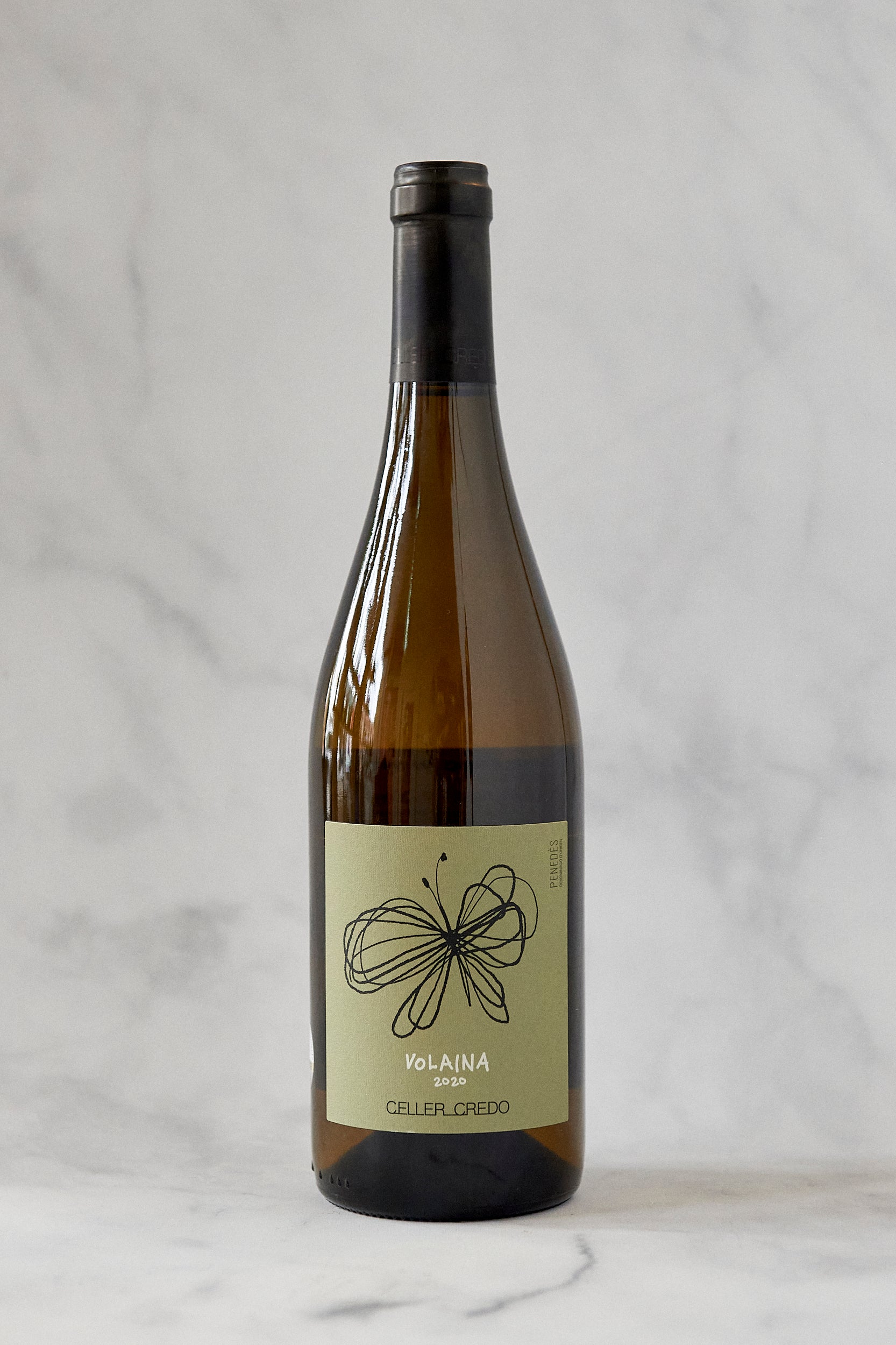 'Volaina' – Grape Witches