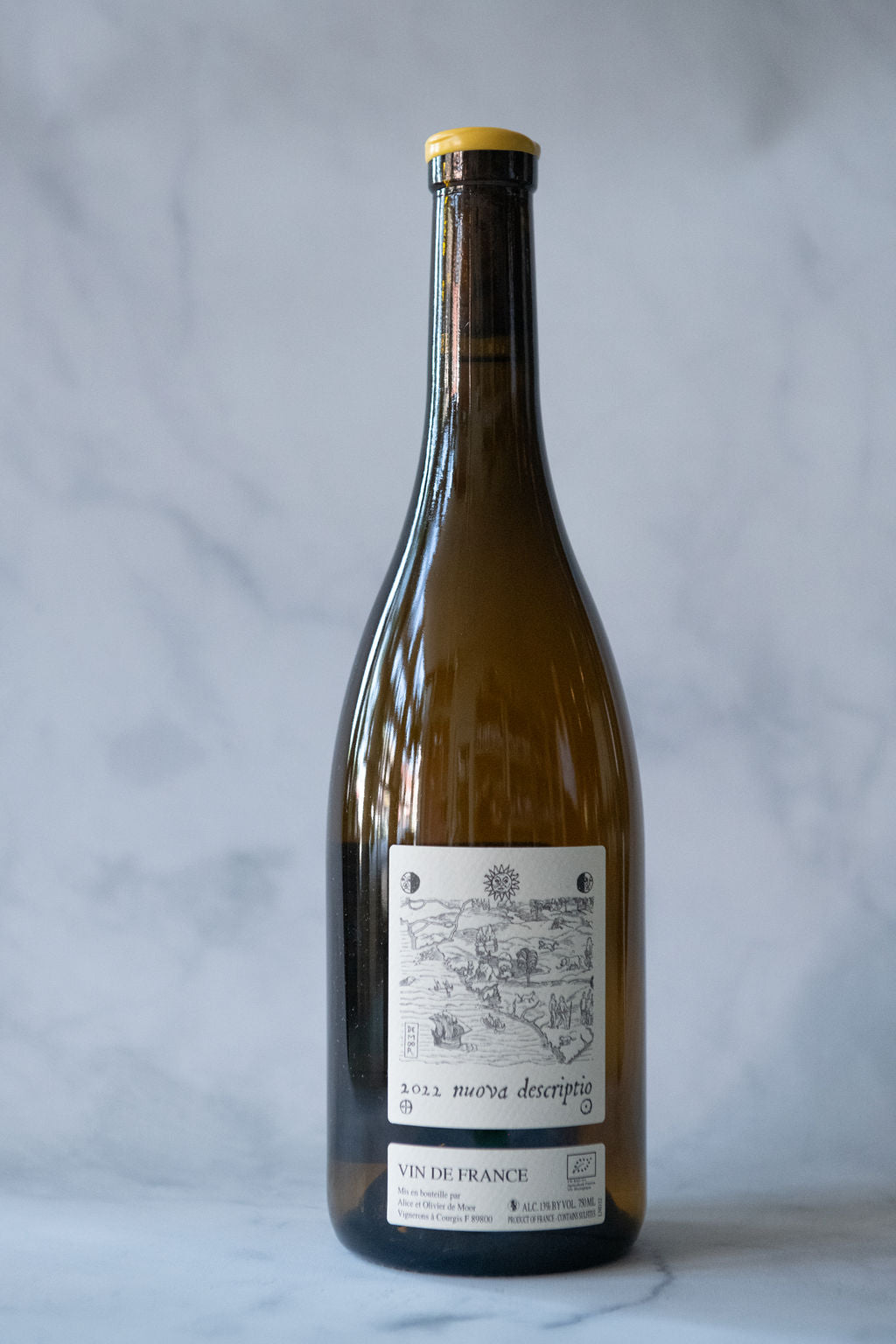 'Nuova Descriptio' – Grape Witches