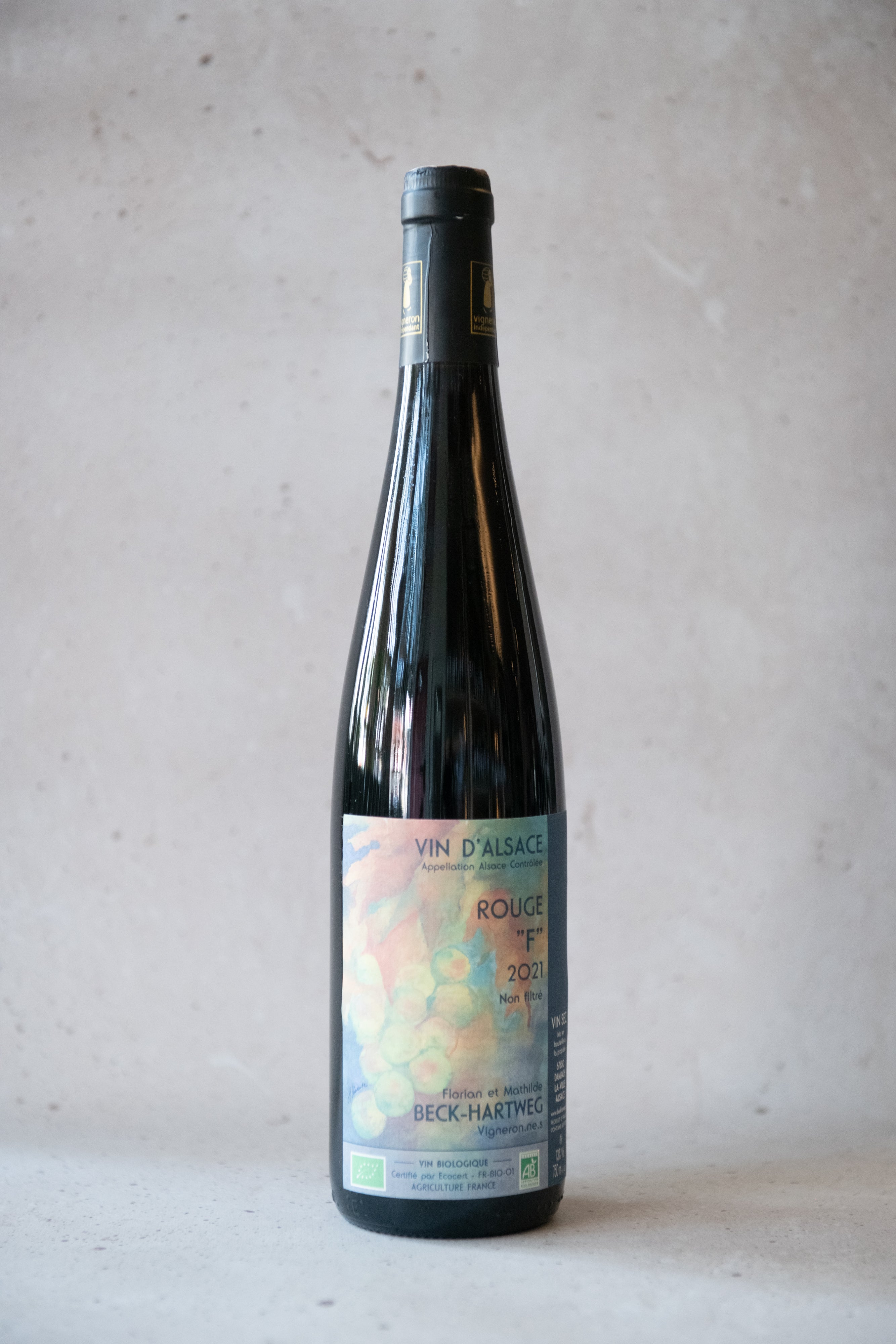 ‘Pinot Noir F’ – Grape Witches