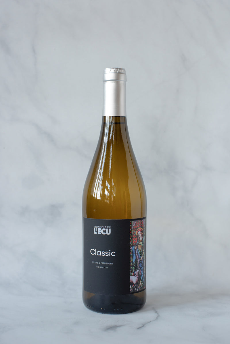 Muscadet – Grape Witches