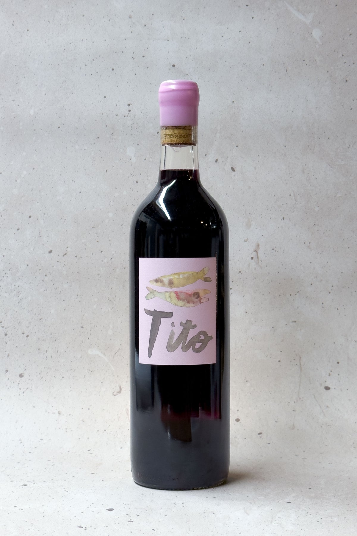 ‘Tito’ – Grape Witches