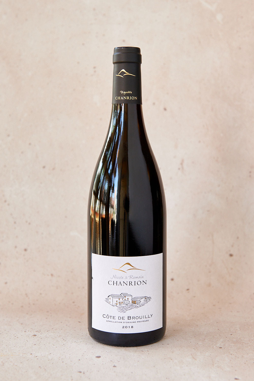 Nicole Chanrion 'Côte de Brouilly' – Grape Witches