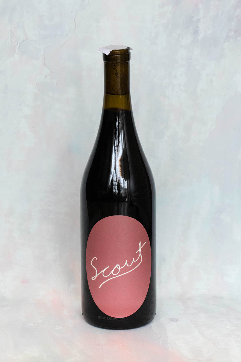 Scout 'Syrah' – Grape Witches